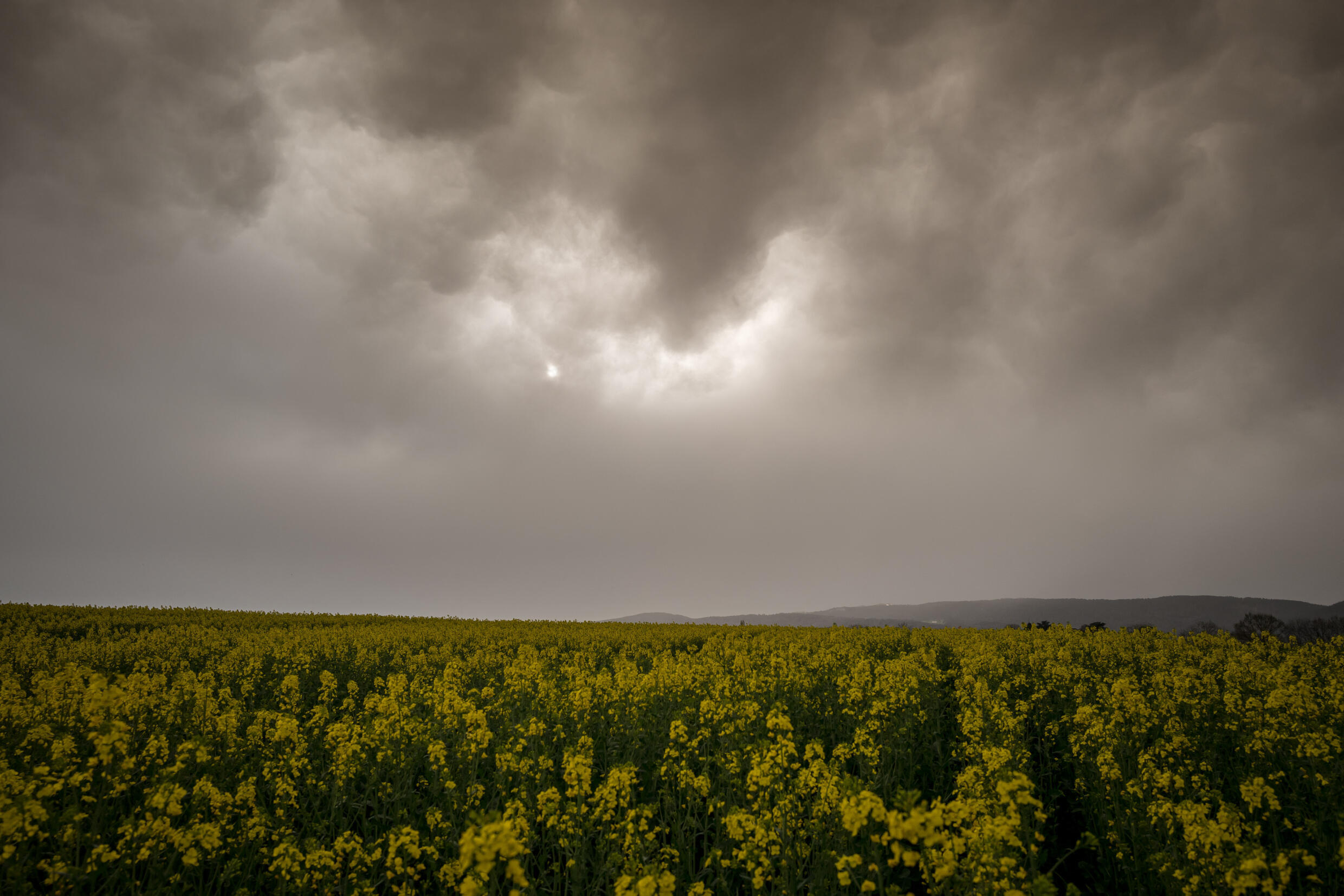 'Exceptional' dust cloud from Sahara sweeps Europe, climate monitor says