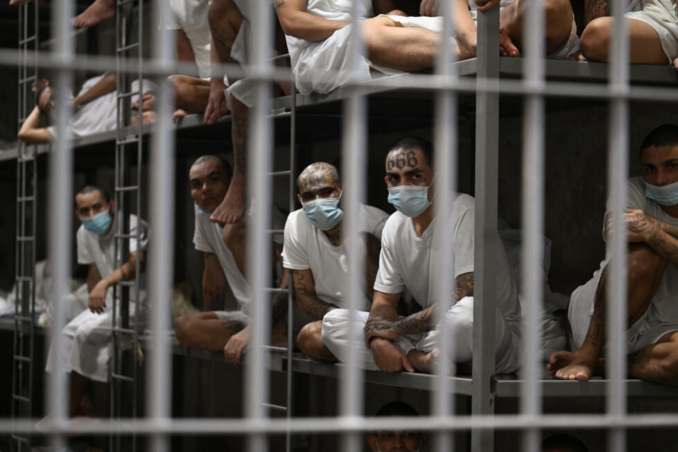 'Dream turned nightmare' for Venezuelan migrant deported from US by Trump