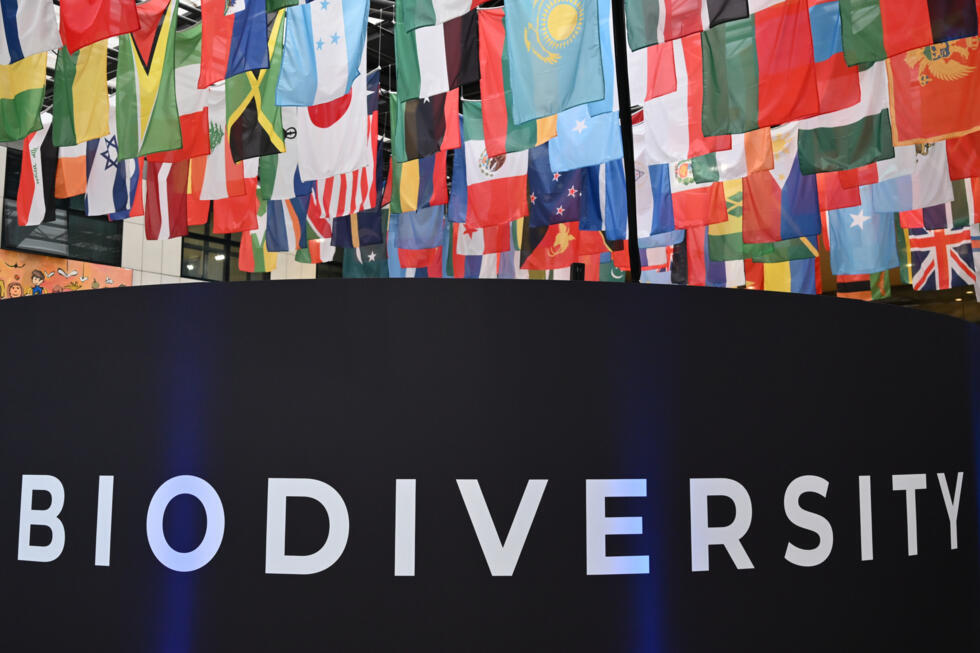 "Question de survie": nouveau bras de fer à Rome sur les milliards ...