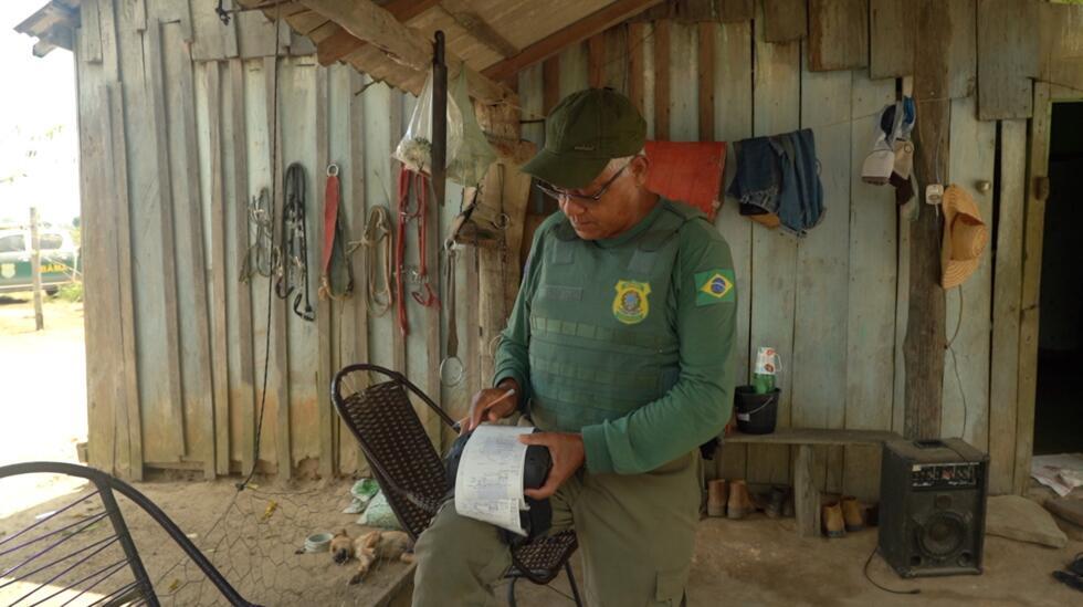 Ibama: Brazil's environmental police are back on the job