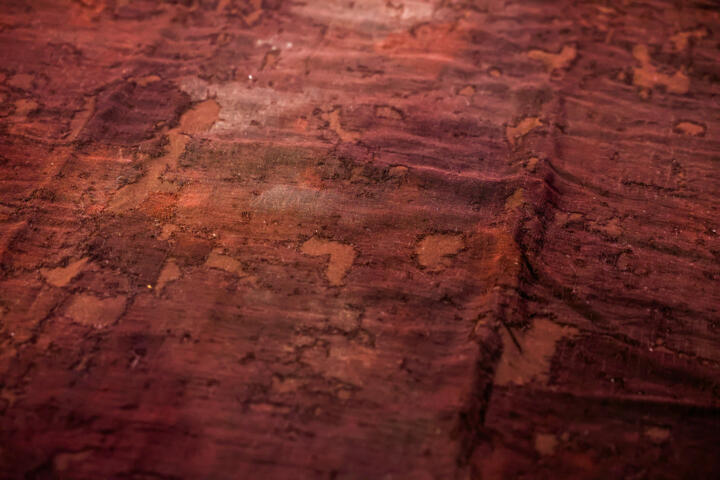 Pour le Vendredi Saint, Argenteuil lance l'ostension de sa "Tunique du ...