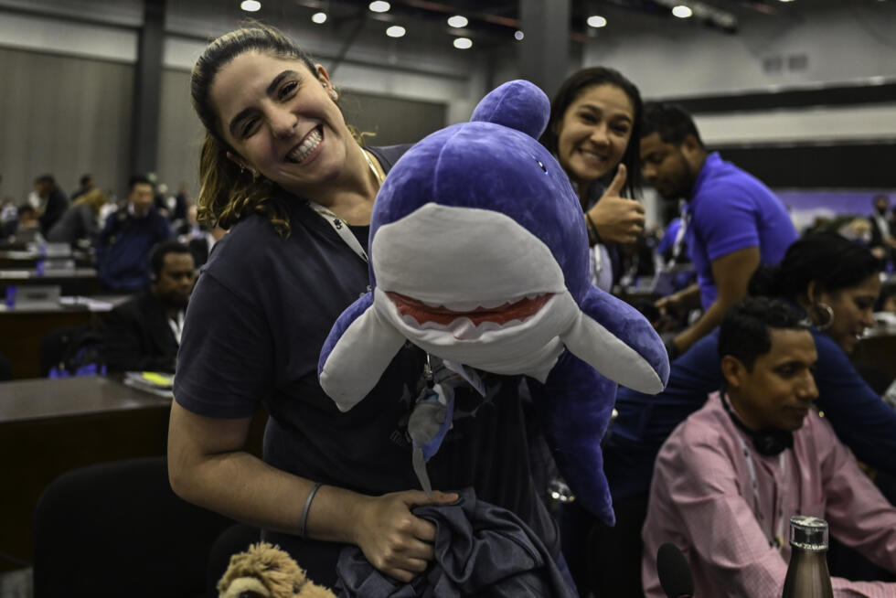 Wildlife summit to vote on 'historic' shark protections