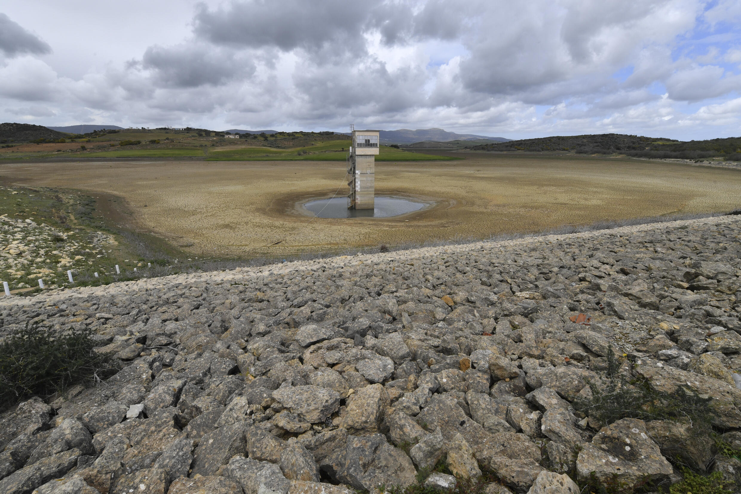 Tunisia drought threatens 'catastrophic' grain harvest