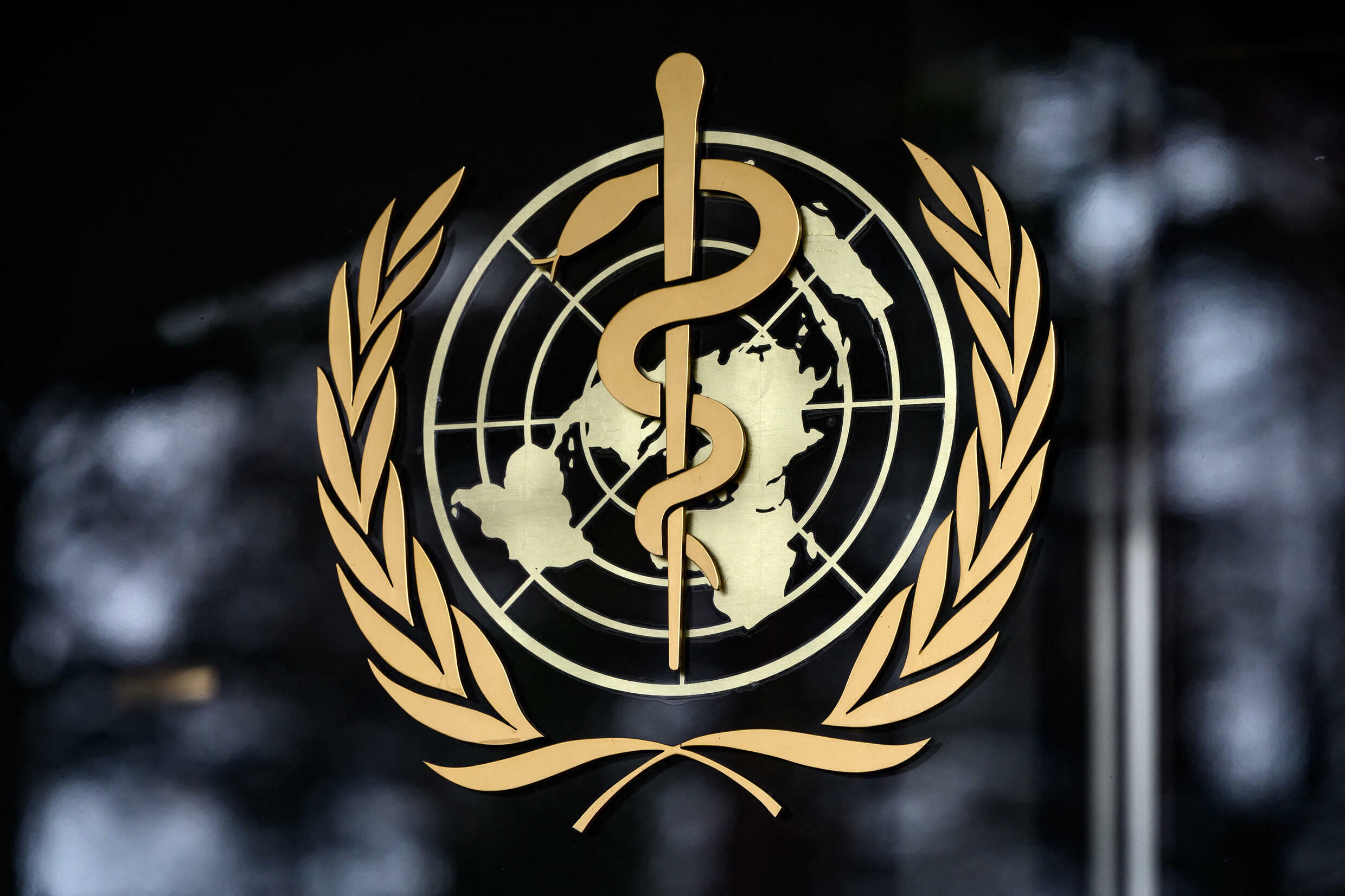 El dinero de la OMS: ¿de dónde viene y quién decide cómo usarlo? - Salud