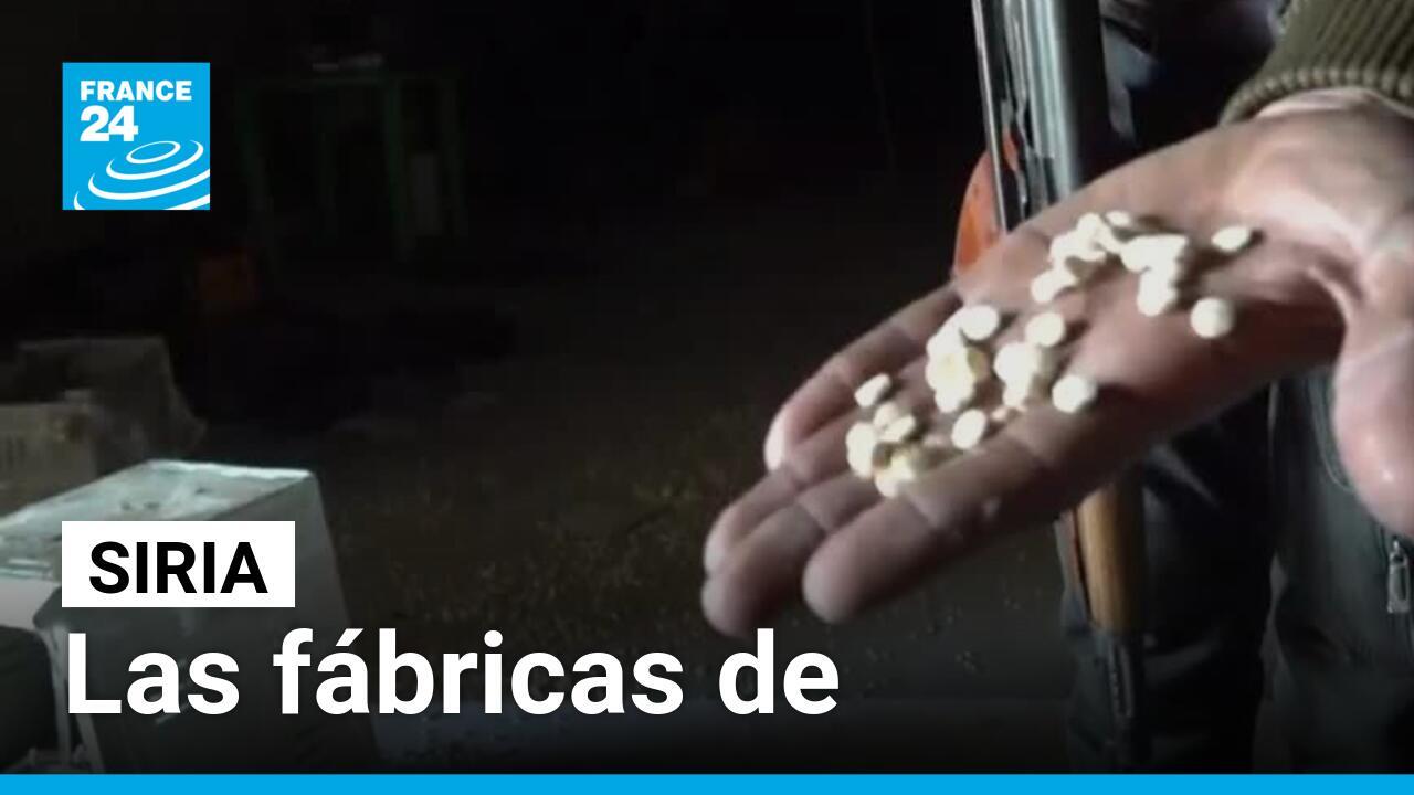 Captagon, una sombra que se extiende por las propiedades del régimen Al ...