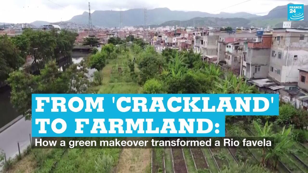 From 'crackland' to farmland: How a green makeover transformed a Rio ...