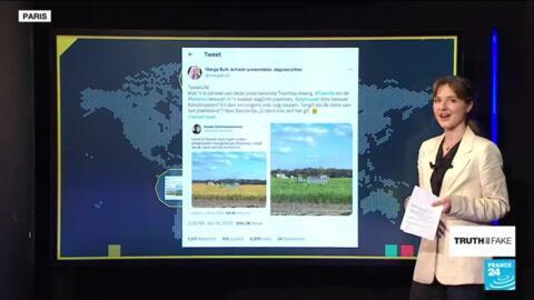 The truth about the viral photos of a Dutch field 'sprayed with ...