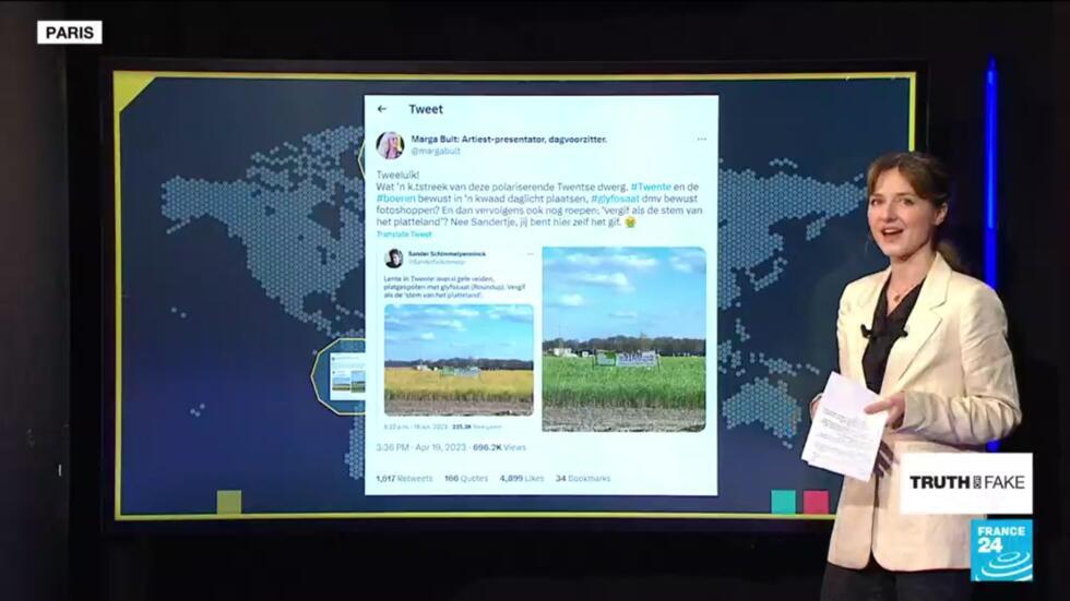 The truth about the viral photos of a Dutch field 'sprayed with ...