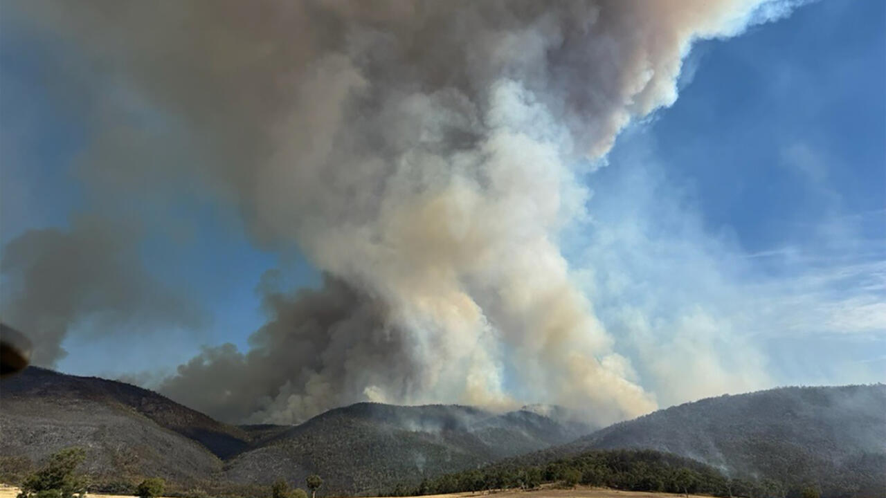 Australia declares state of disaster as bushfires rage