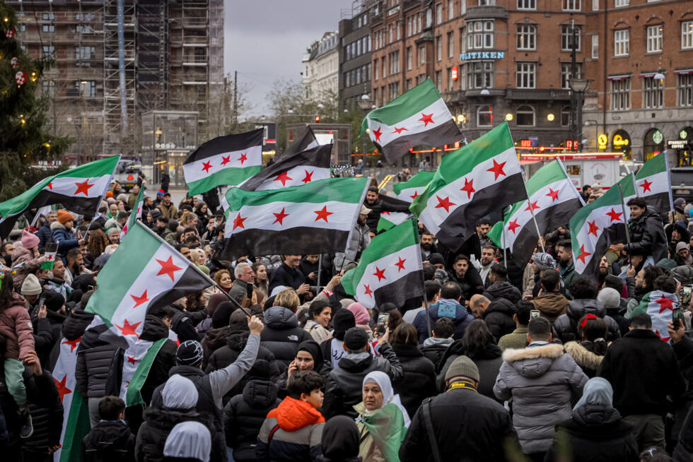 'Free at last': Syrians across Europe rejoice at fall of Assad regime