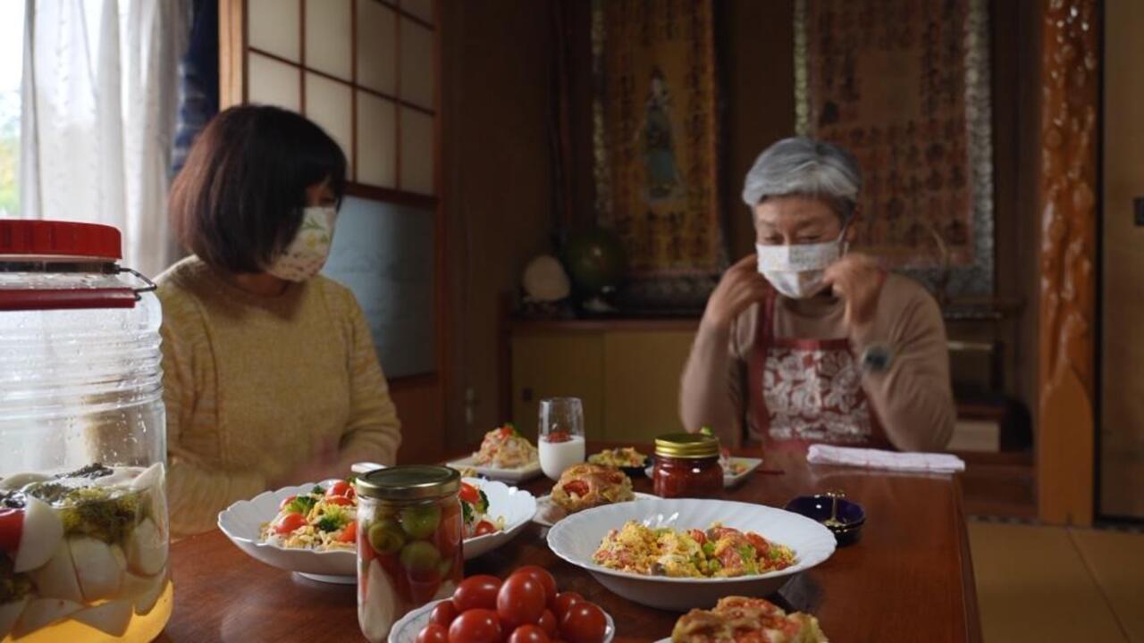 Now on sale in Japan: World's first genome-edited tomatoes - Focus