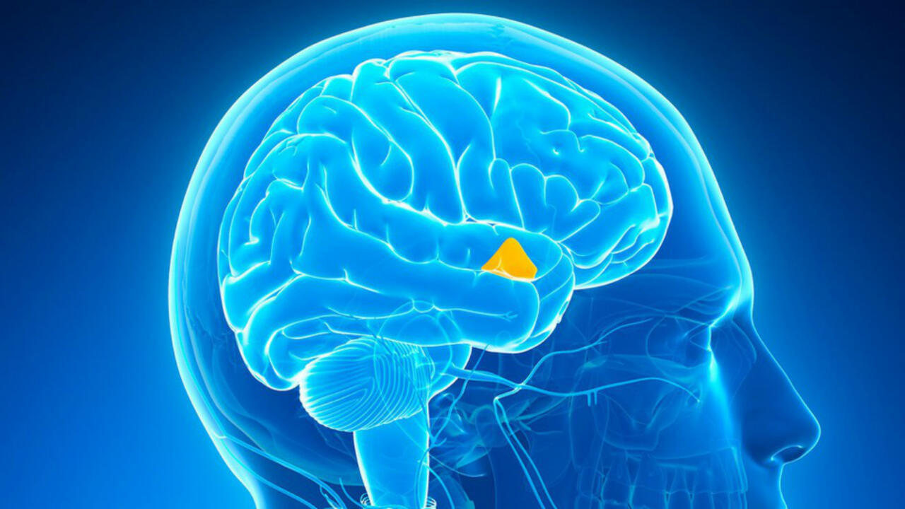 Le MIT se désolidarise du projet d'"immortalité numérique" de la ...