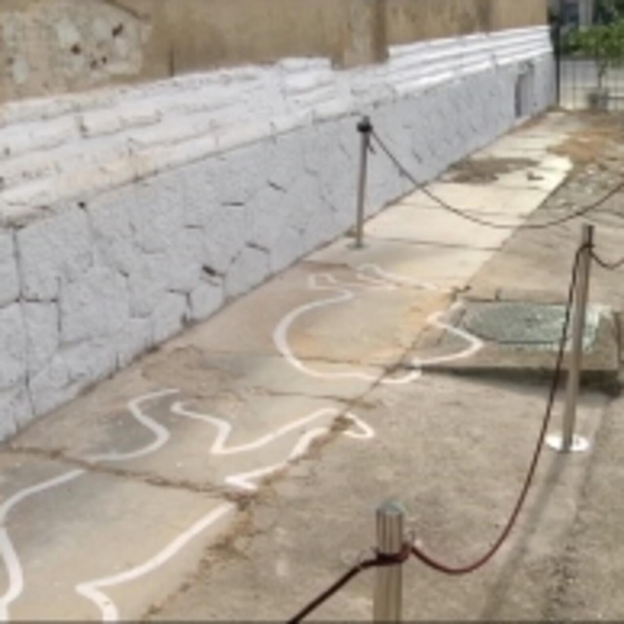 Nicolae Ceausescu Execution