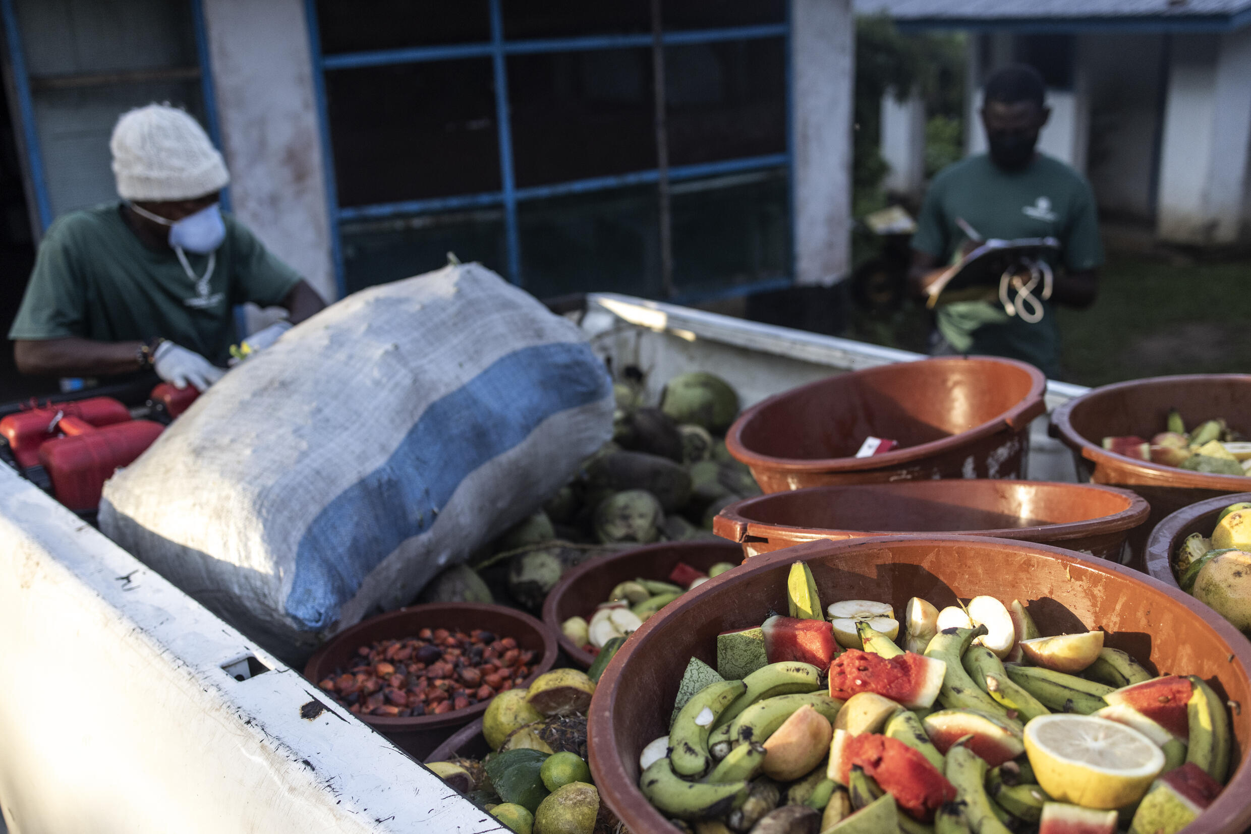 After life of trauma, Liberian lab chimps settle into retirement