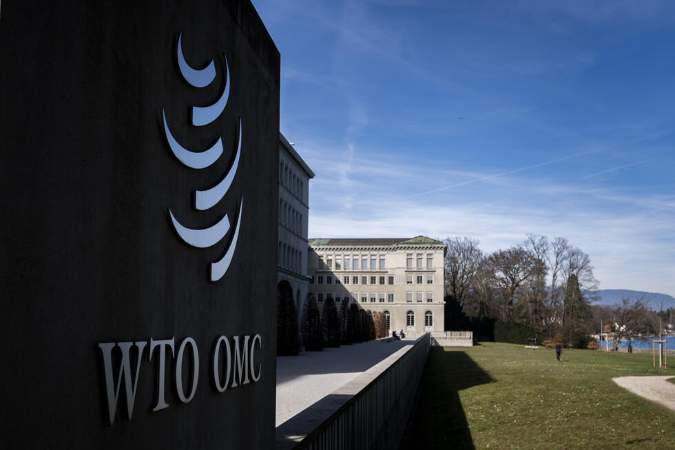 Trump tariffs leave WTO adrift in eye of the storm