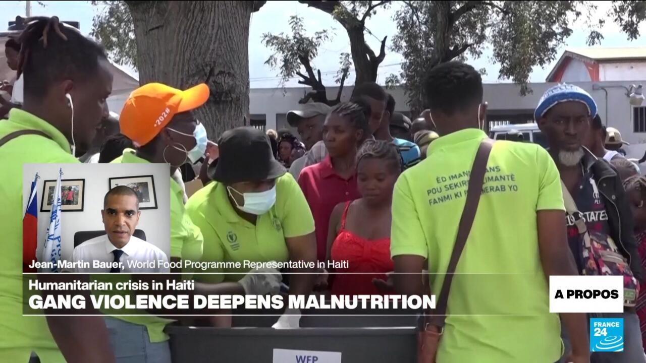 Haiti a perfect illustration of correlation between conflict and malnutrition, WFP says - A ...