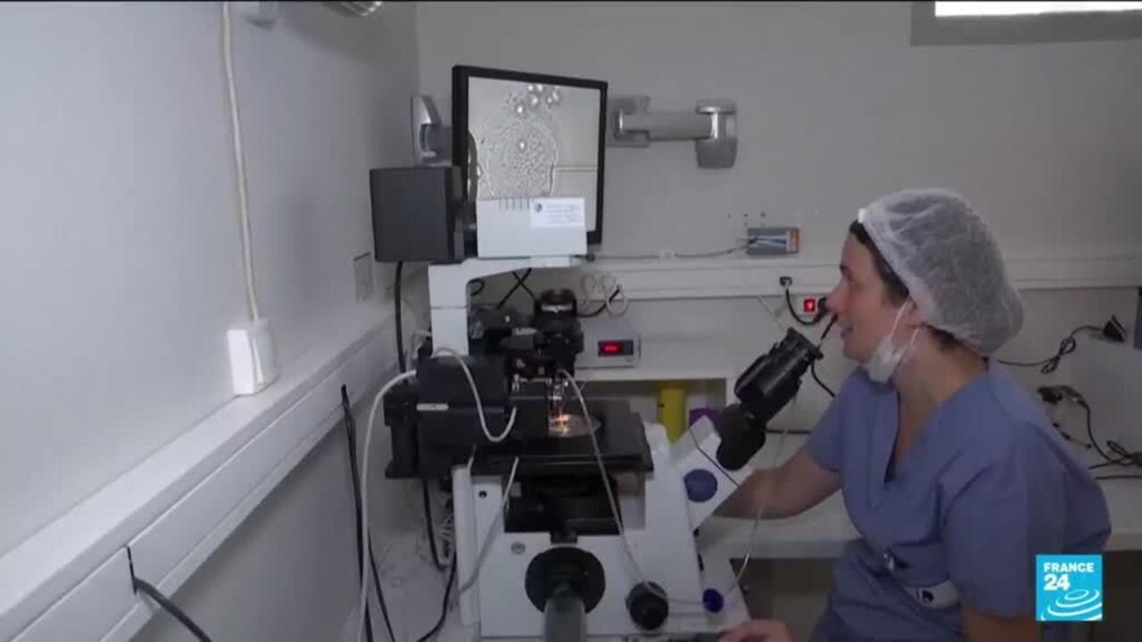 Critics slam Alabama court ruling that frozen embryos are 'children ...