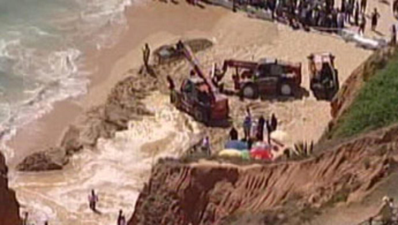 Five tourists killed in beach landslide