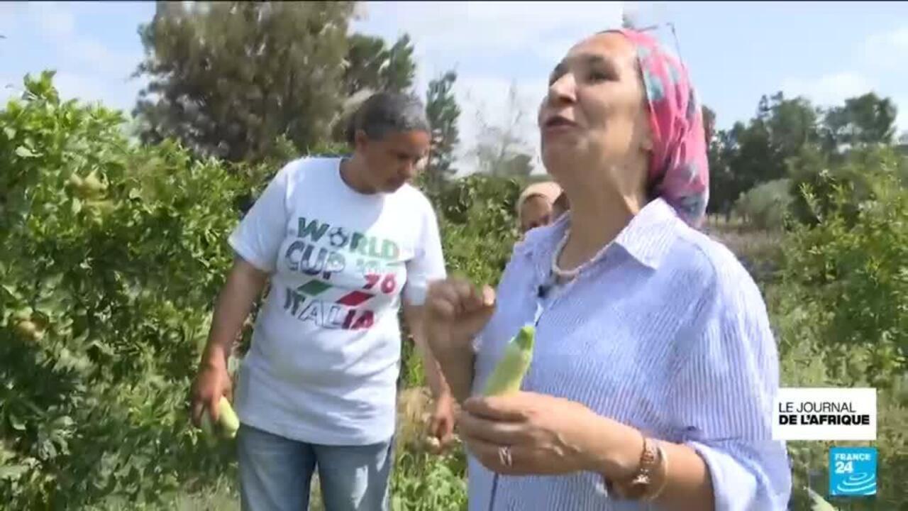 La scientifique tunisienne Semia Gharbi remporte le Goldman Prize ...