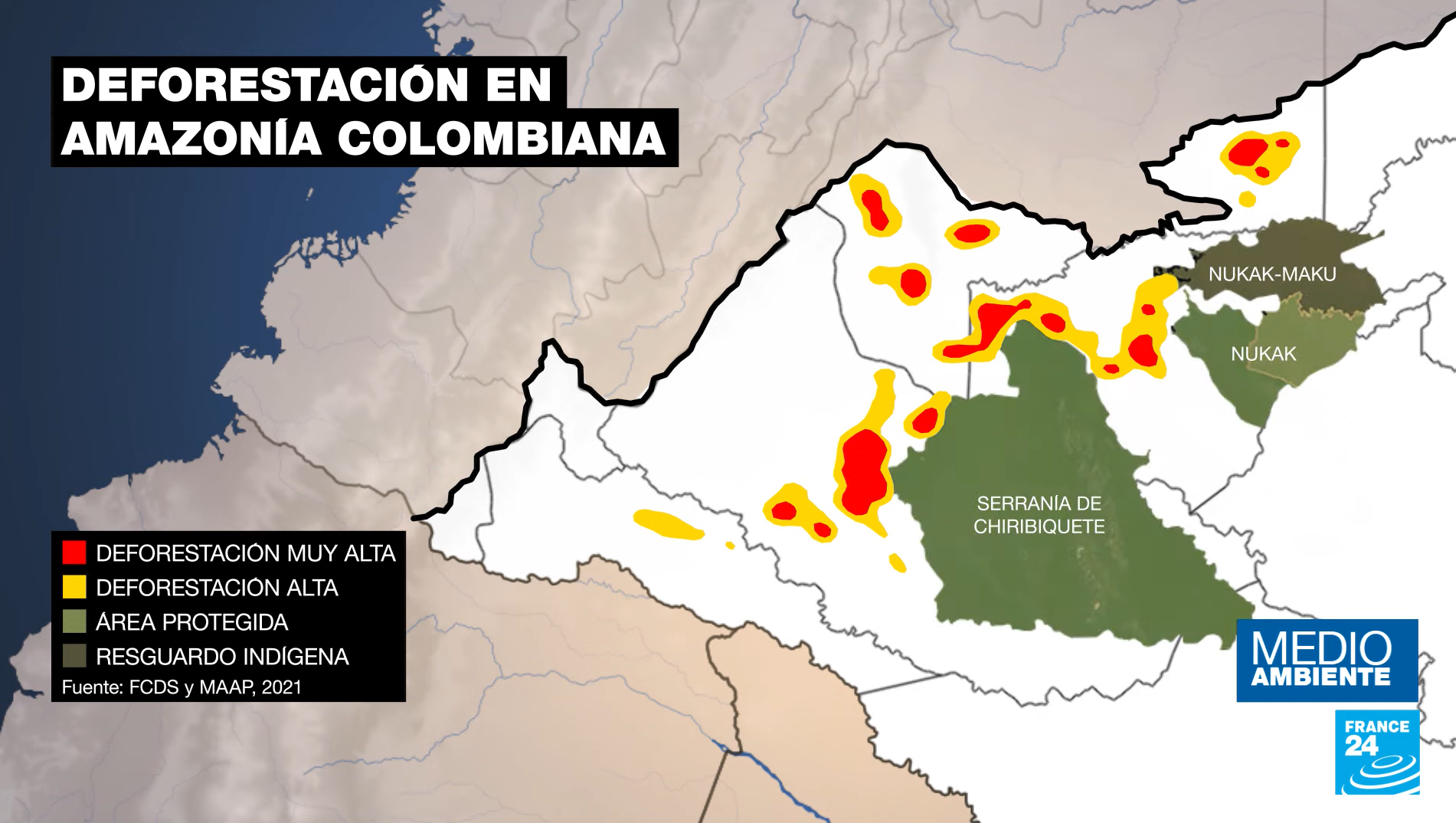 En la Amazonía colombiana apuestan por cultivos que protegen la selva ...