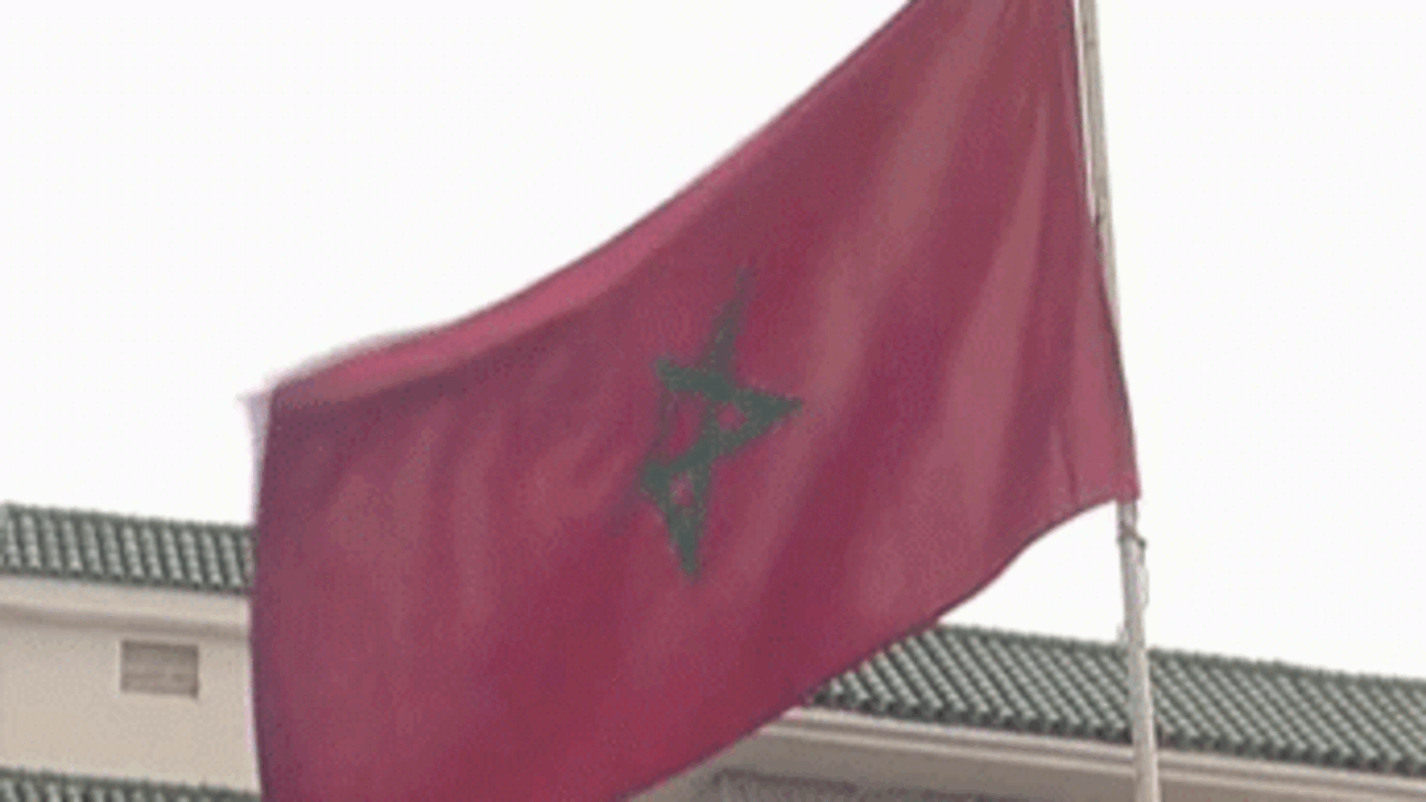 Moroccan protesters to seek curbs on king's powers