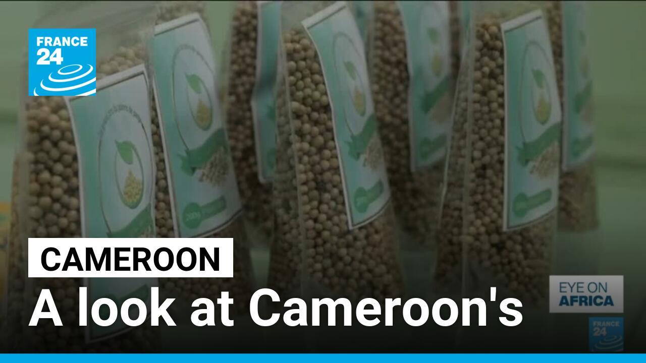 A look at Cameroon's unique Penja white pepper - France 24