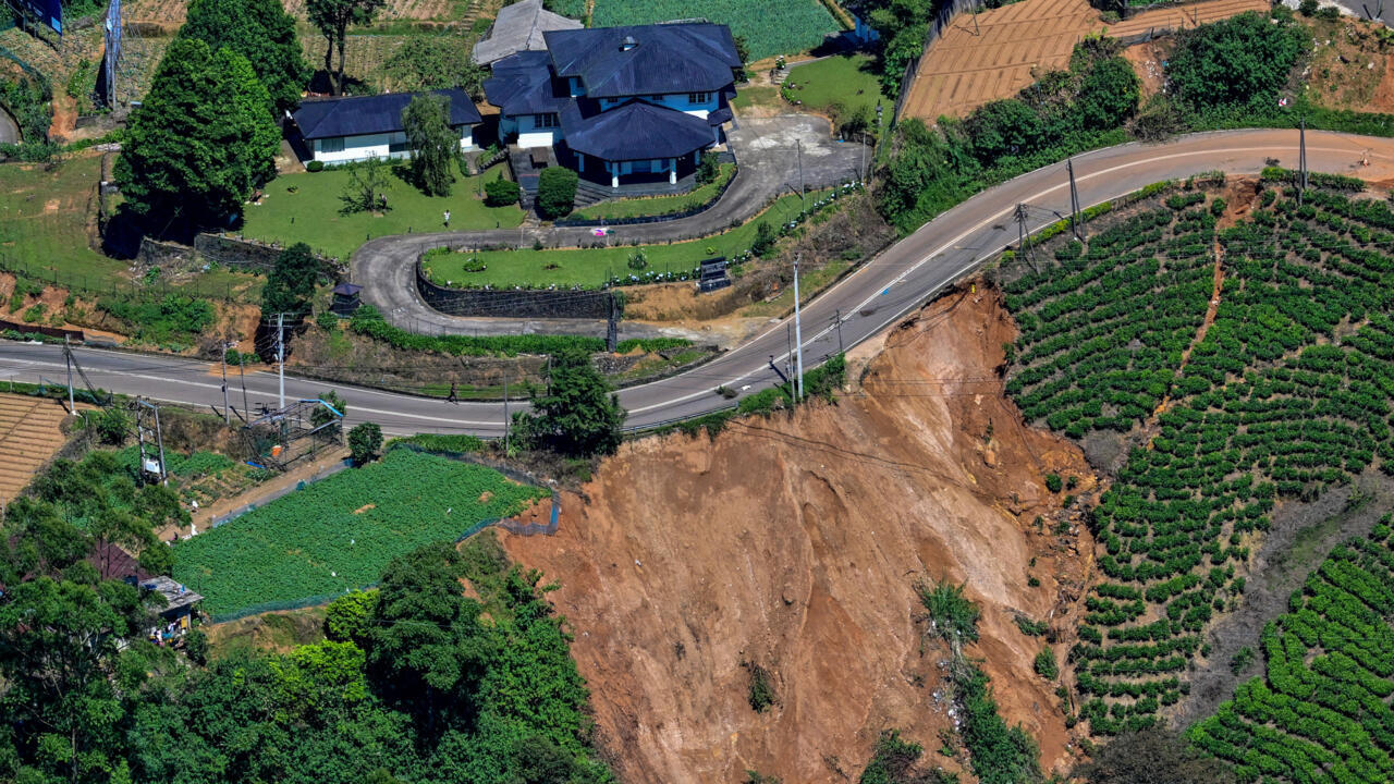 Cyclone turns Sri Lanka's tea mountains into death valley