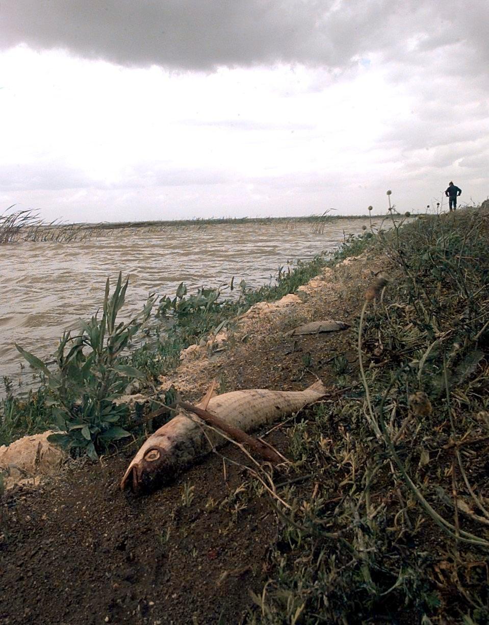 Trial over Spanish ecological disaster starts, 25 years on