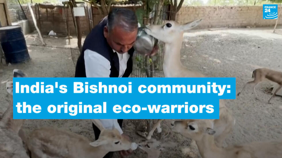 India's Bishnoi community: The original eco-warriors - France 24