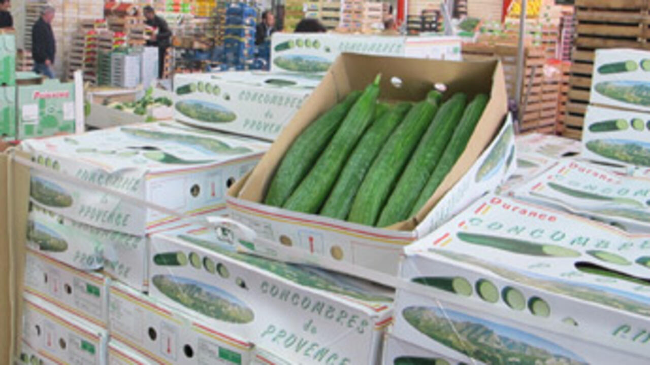 French cucumbers feel sting of E.coli scare
