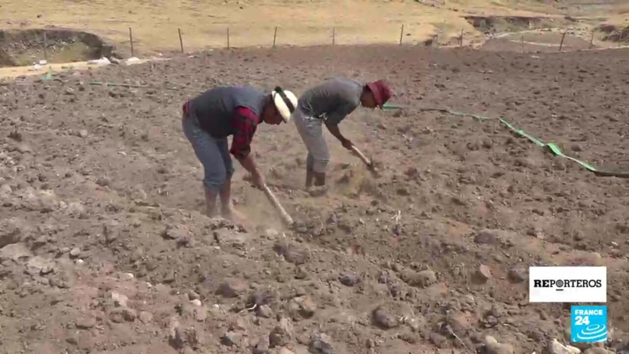 La contienda entre las comunidades indígenas y la industria minera en ...