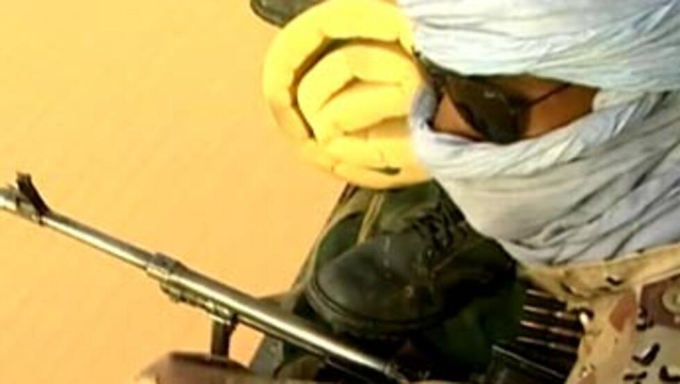 Niger rebels release French hostages