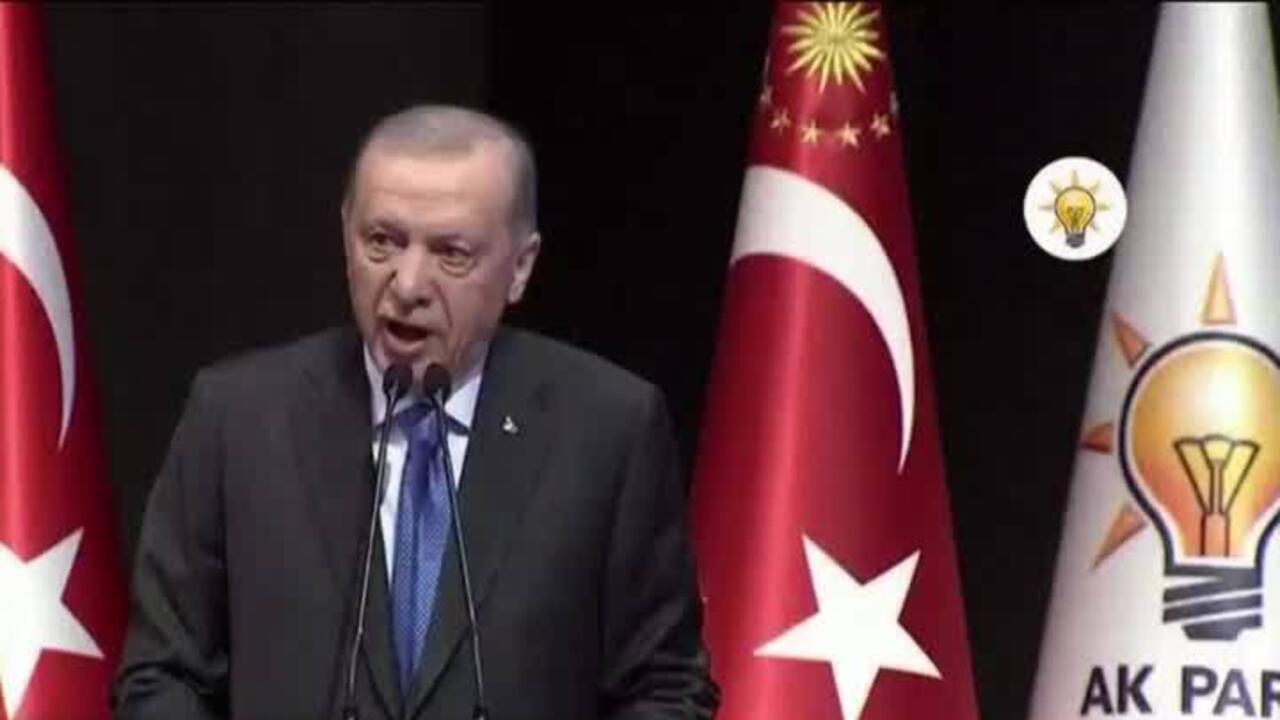 Turkey's Erdogan agrees to meet Russia's Putin at BRICS summit - France 24