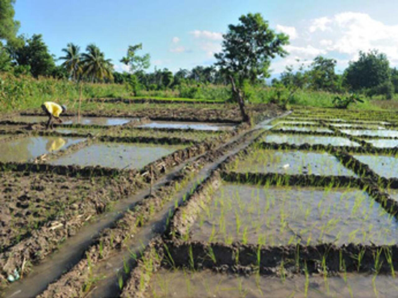 Haiti Farming Modern Oxygen Production Center In Haiti Transforms