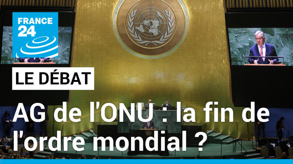 La fin de l'ordre mondial ? L'Assemblée générale de l'ONU face aux ...