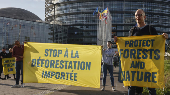 EU agrees to bans imports of products that drive deforestation