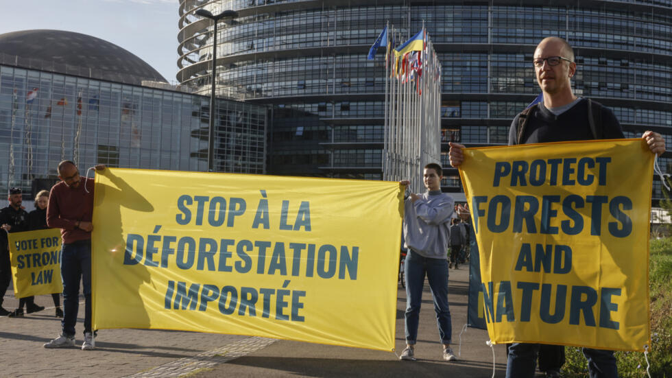 EU agrees to bans imports of products that drive deforestation