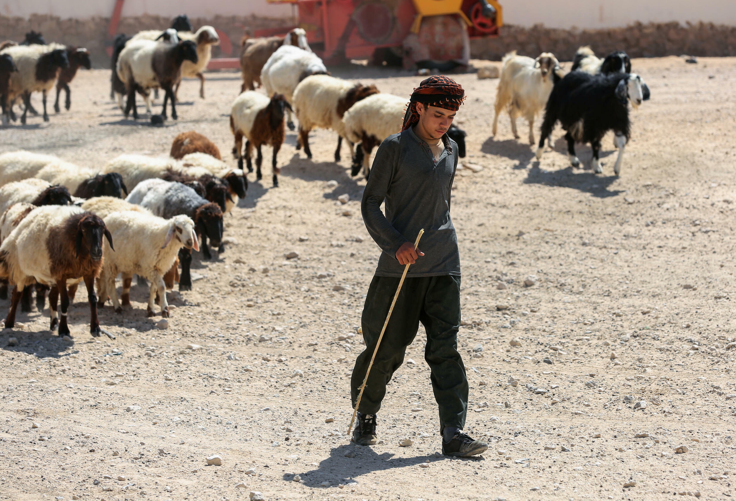 'Simple' life in Iraqi desert village cut off from the grid