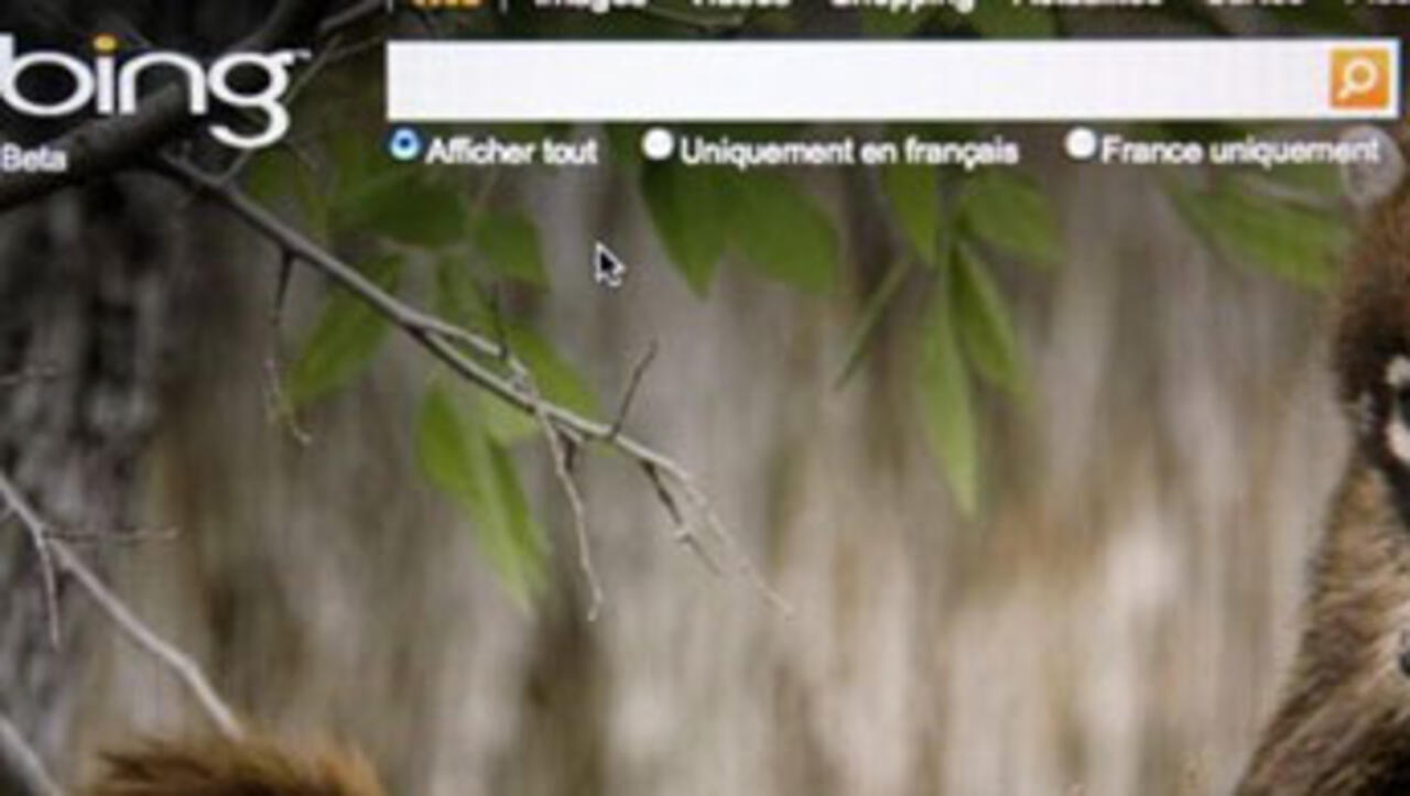 Microsoft equips Bing with visual search
