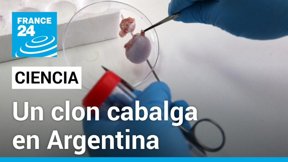Andrés Gambini: "es posible clonar humanos, pero no lo hacemos porque ...