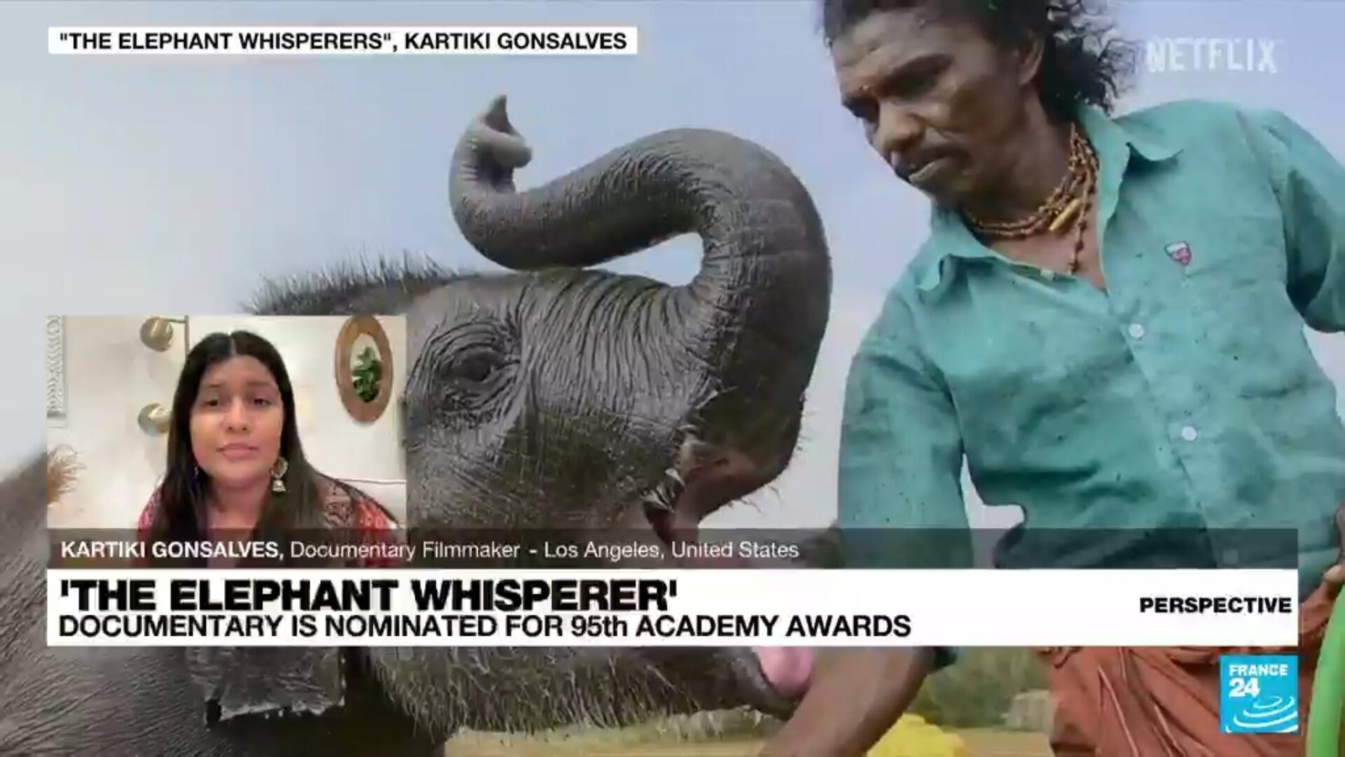 'The Elephant Whisperers': Short film depicts bond between couple and ...