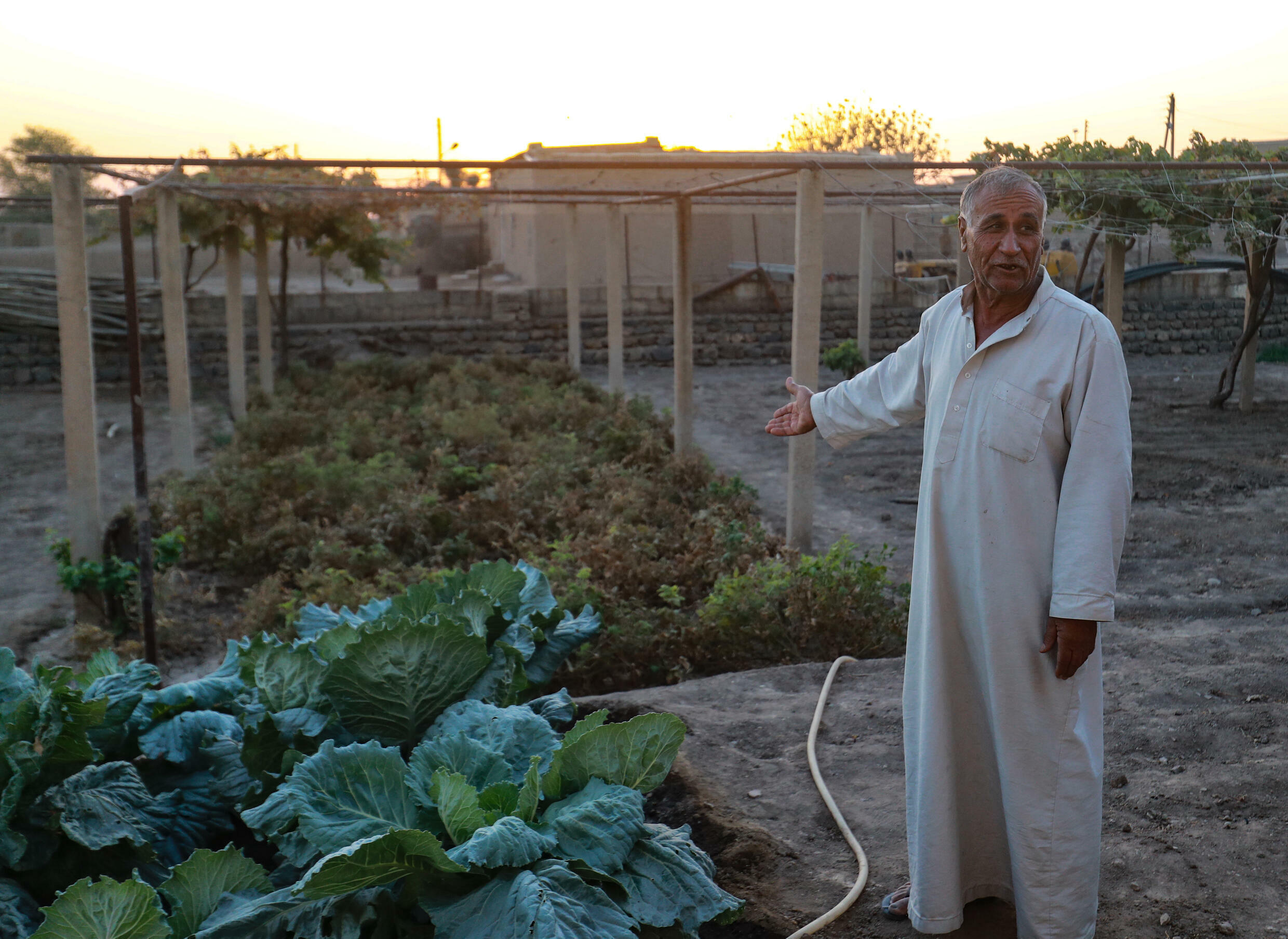 Dry year leaves Syria wheat farmers facing crop failure - France 24