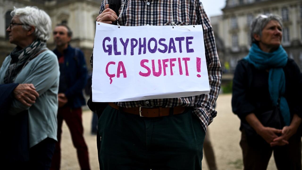 Prolongation du glyphosate: la justice européenne donne raison aux ONG ...