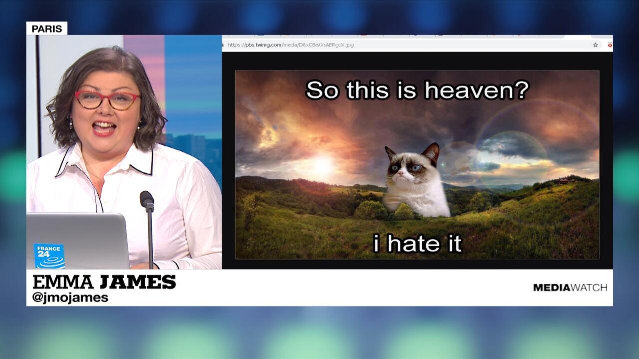 Internet pays tribute to Grumpy Cat - MediaWatch