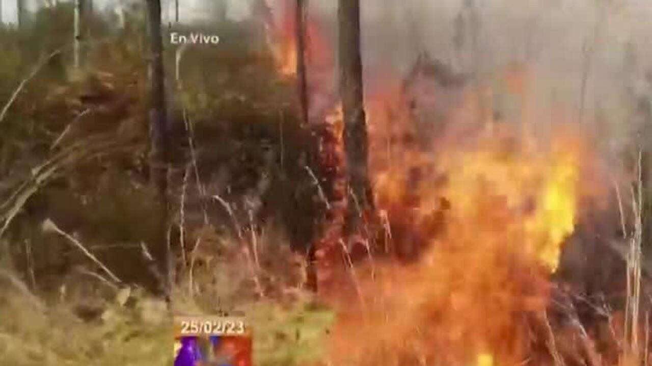 Incendio deja más de 1.700 hectáreas afectadas en Cuba - France 24