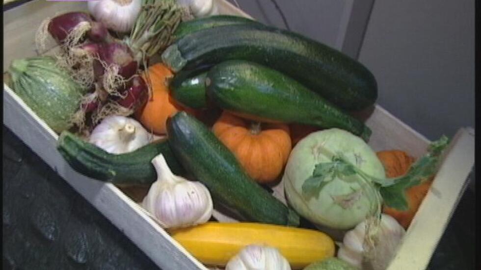 Forgotten vegetables - Lifestyles