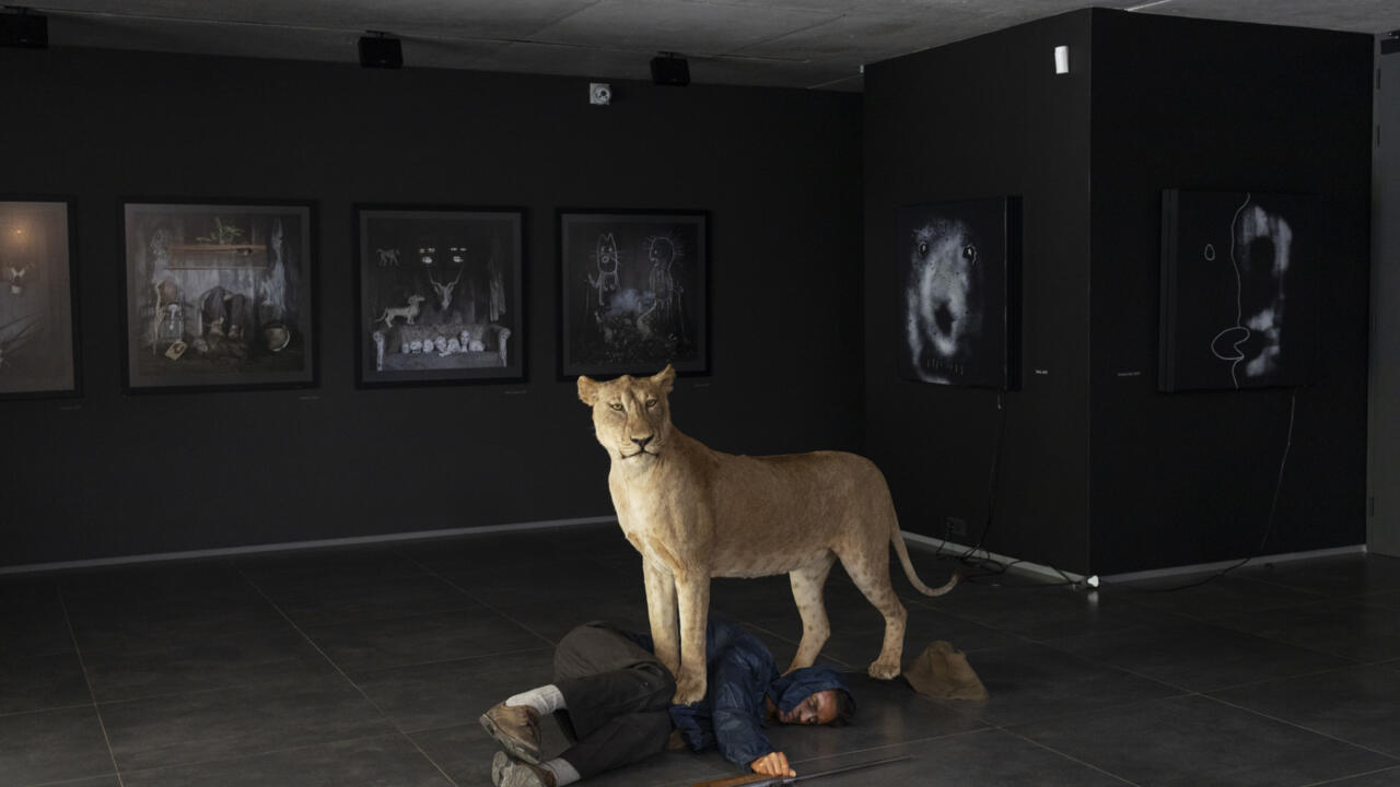 photographer Roger Ballen exposes the ravages of man on nature – Archyde