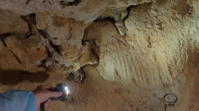 57,000-year-old Neanderthal engravings found in French cave - France 24