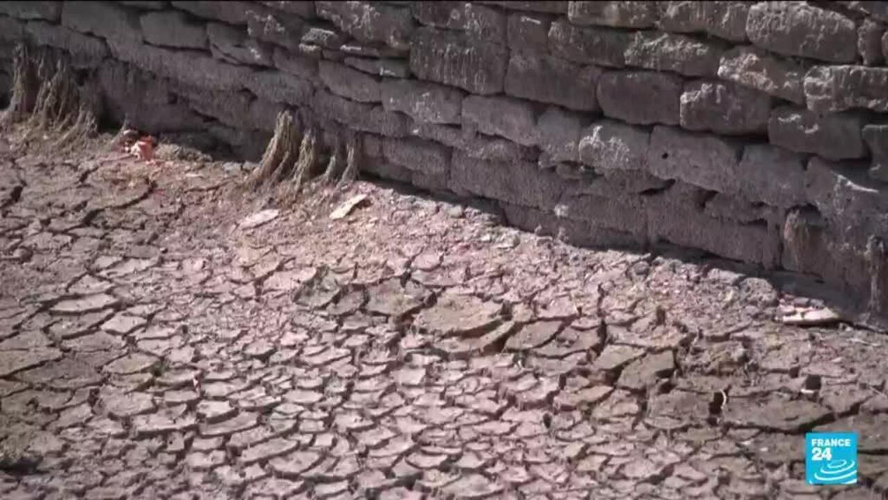 Europe is facing its worst drought in 500 years, EU agency says