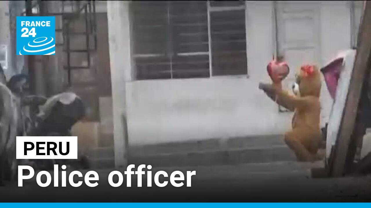 Peruvian police disguise as teddy bear to capture alleged drug dealer ...